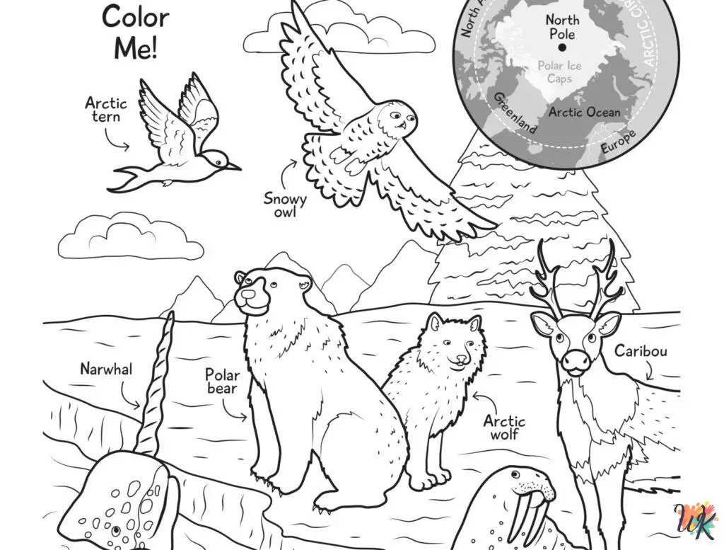 56 Arctic Animals Coloring Pages - Explore The Arctic | ColoringPagesWK