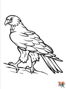 15 Hawk Coloring Pages