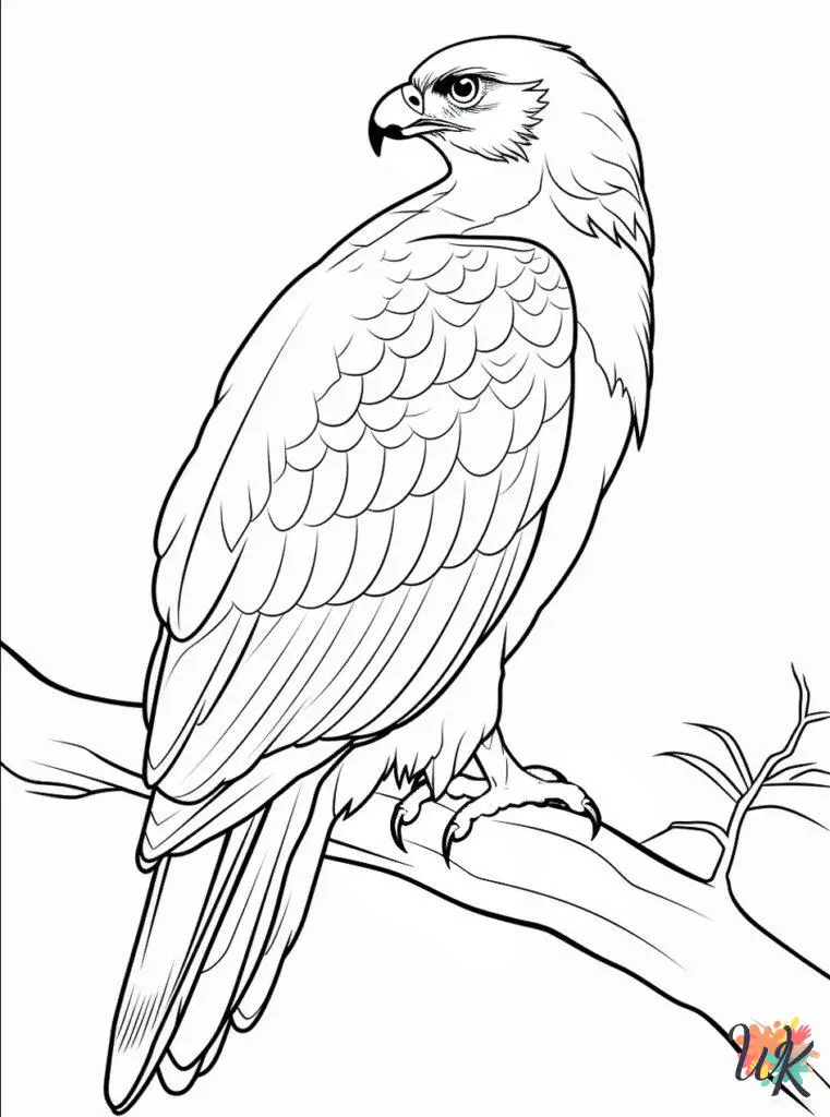 15 Hawk Coloring Pages